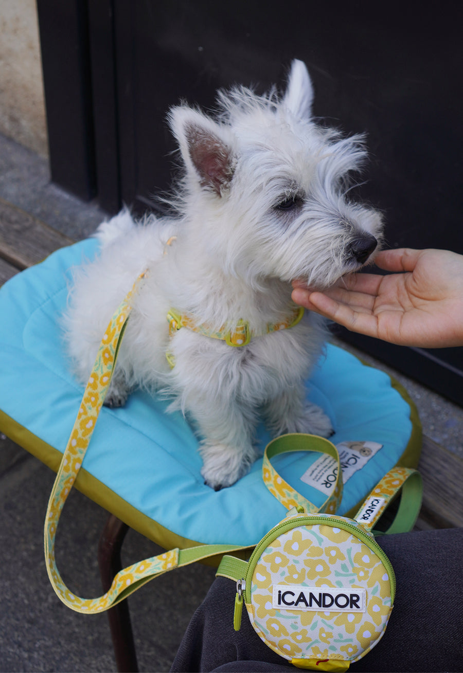Dingle Dangle Bag_Big Fish Yellow – iCANDOR