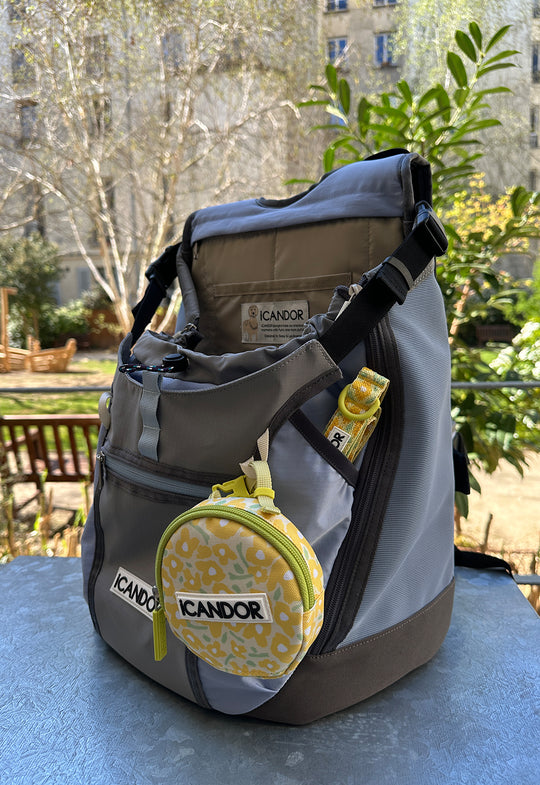 Dingle Dangle Bag_Big Fish Yellow – iCANDOR
